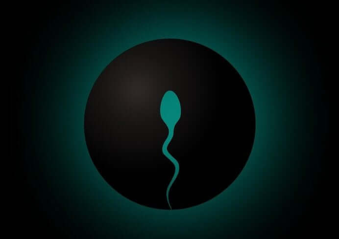 Wagyu Semen for Sale - SS Mazda Jr